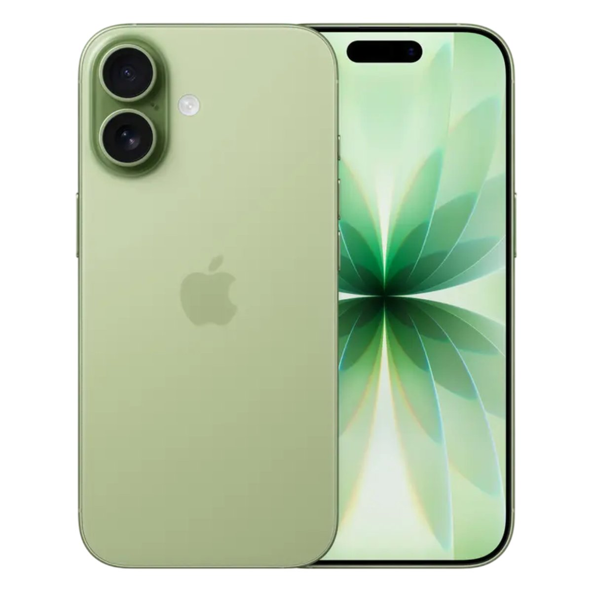 Apple iPhone 17 512GB, Sage în Moldova